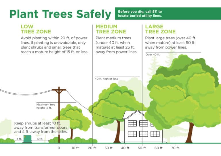 Tree Trimming and Power Lines - Coastal Electric Cooperative, Inc. of ... Tree Trimming and Power Lines - Coastal Electric Cooperative, Inc. of ...
